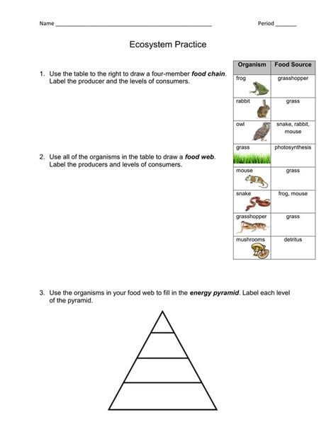 Ecosystem Practice — Db