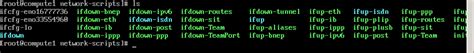 Network Adapter How To Generate The NIC Configuration File Of VM In VMware Workstation After I