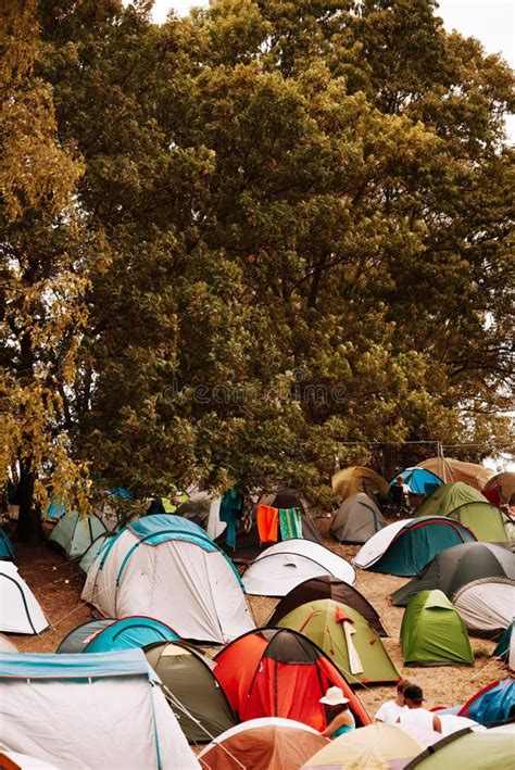 Tent Camp In The Forest A Lot Of Tents Rest In The Forest At The