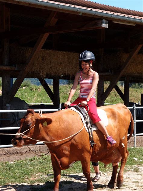 Weve Tried Cow Trekking In Switzerland It Was Udderly Fun Newly