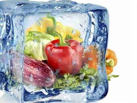 Cómo Mantener Una Correcta Cadena De Frío De Los Productos Del Almacén La Cuarta Comerciante