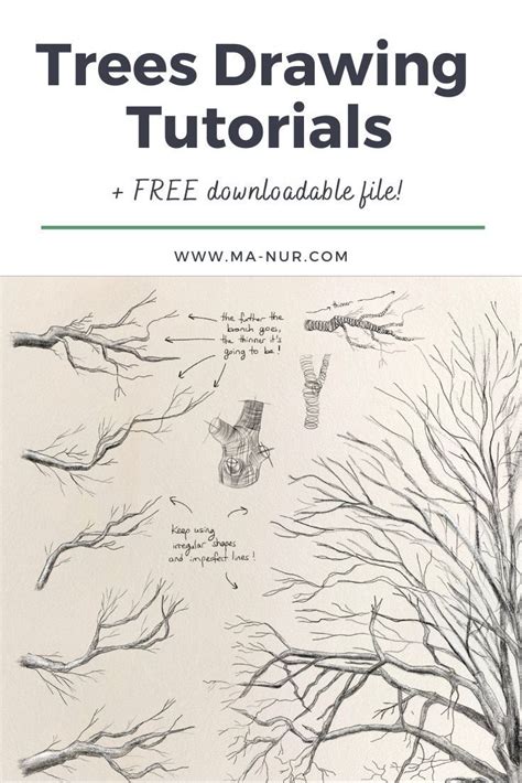 How To Draw Realistic Trees With Pen Ink Artofit