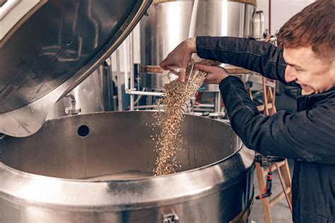 Malt Vs Sugar Choosing The Right Base For Your Beverage Brand