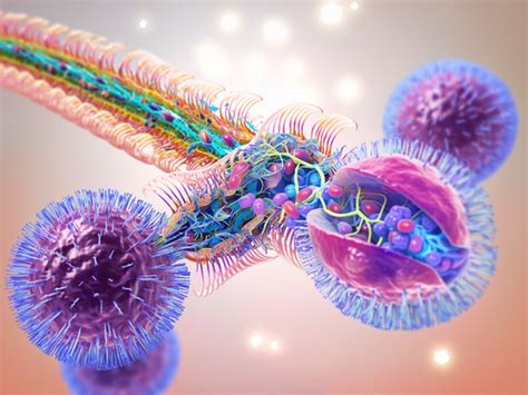 胰腺腺泡细胞癌带瘤生存可能？ 胰腺腺泡细胞癌 胰腺癌 肿瘤疾病大全癌症肿瘤科普知识 有来医生