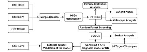 Simplified Flow Chart This Is The Overall Simplified Flowchart Of The Download Scientific