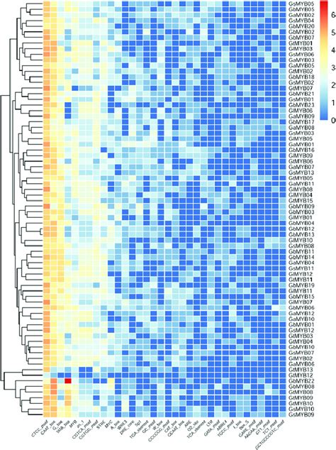 The 34 Most Frequent Cis Elements In The Myb Promoters The Color Scale Download Scientific