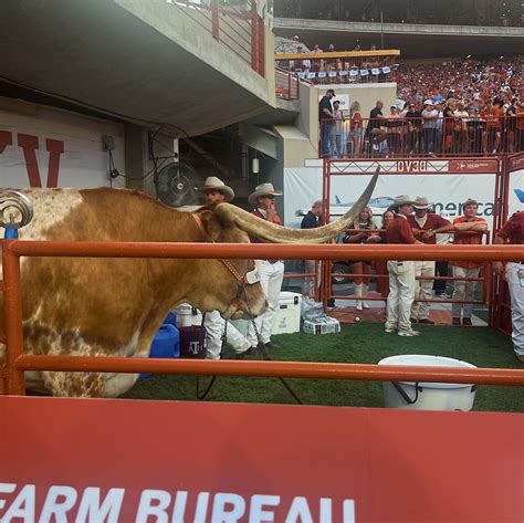 Gallery Peyton Loftis Vsco