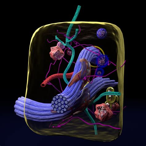 Artstation Connective Tissue Elements Labelled Resources