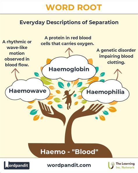 Word Root Haemo Wordpandit