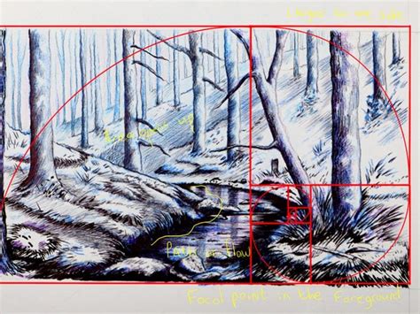 Golden Ratio In Art Learn How To Use The Golden Ratio In Art
