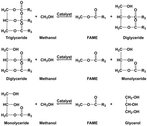 The Basic Transesterification Reaction Download Scientific Diagram