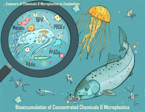 Microplastics Are Toxic Pollutants