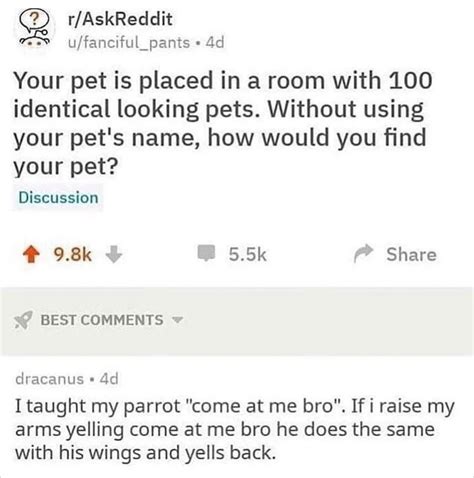 “blessed Comments” Share 50 Examples Of A Comment Making The Post Better Bored Panda