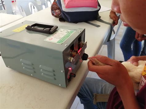 Debeaking Of Chicken Ryans Blog