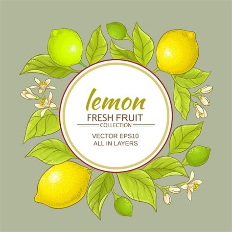 Premium Vector Lemon Vector Frame