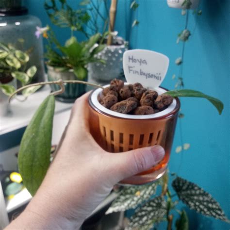 Imgur The Magic Of The Internet