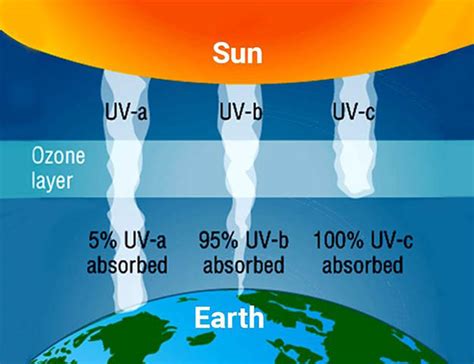 Difference Between UVA And UVB What You Need To Know 58 OFF