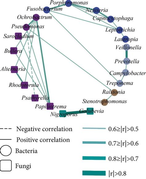 Fungal Bacterial Correlation Network Analysis At Genus Level In A
