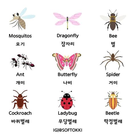 Pin By Juliaso On Jpkor Korean Words Easy Korean Words Korean Writing