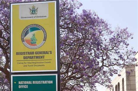 Zimbabwe Fails To Process IDs Birth Certificates For Over Two Months NewZimbabwe