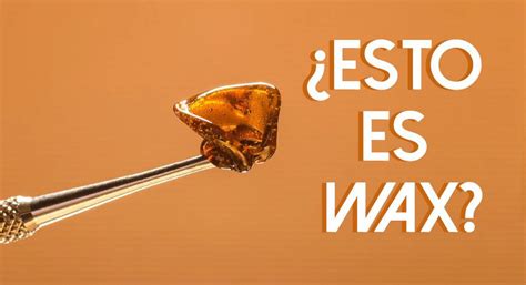 Los Peligros Que Entraña La Droga De Los Concentrados De La Marihuana O