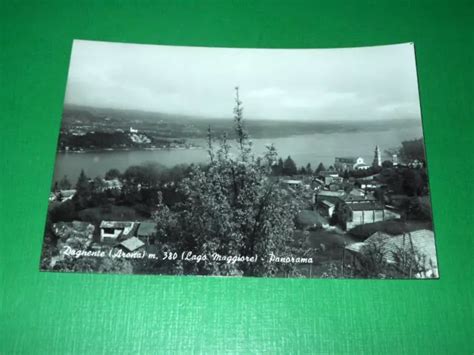 CARTOLINA DAGNENTE Arona Lago Maggiore Panorama 1964 EUR 5 99
