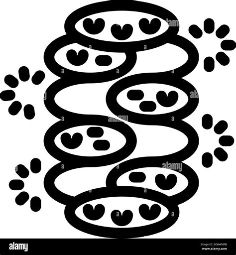 Bacteria Multiplying And Dividing Creating New Organisms Identical To