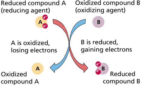 Oxidizing Agent With Example ~ Secret Knowledge