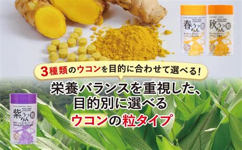 ウコンのふるさと沖縄南城市 春・秋・紫ウコン【粒：つぶ】3点セット I ウコン 粒 3種 セット 春ウコン 秋ウコン 紫ウコン 飲み比べ 健康