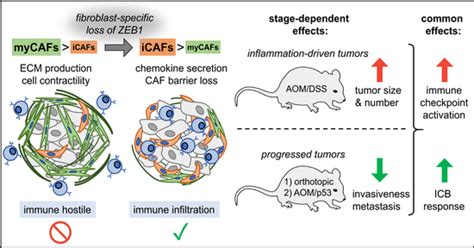 Paper Published In Embo Reports Biomedical Network Science Lab