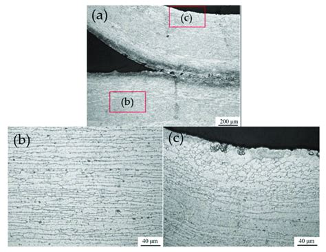 Microstructure Of The Sample A The Overall Microstructure Of The