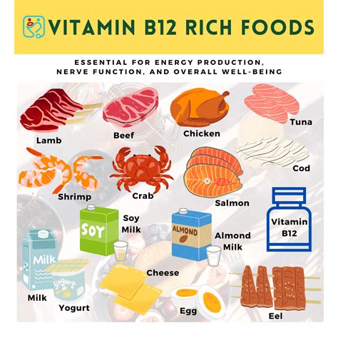 Which Foods Is Vitamin B12 Rich