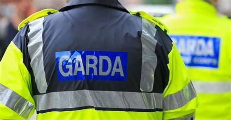 Man 30s Arrested As Gardai Seize M16 Rifle And Ammunition Found In Co Clare Irish Mirror Online