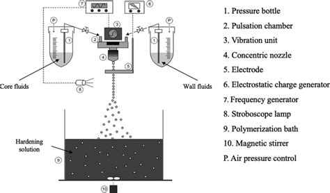 Schematic Representation Of The Co‐extrusion For The Lab‐scale