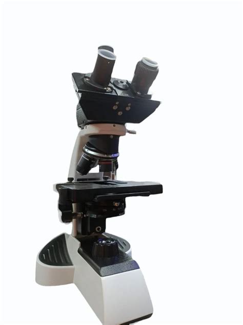 Stainless Steel Binocular Microscope Halogen 2000x At ₹ 7500 Piece In