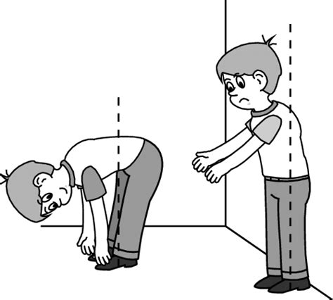 23 Equilibrium Of The Human Body Download Scientific Diagram