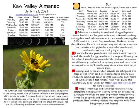 Nature Is Duking It Out Predator Insects And Spiders Help Keep The