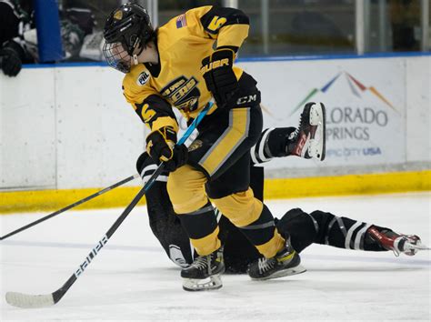 Kale Tibbetts Elite Prospects