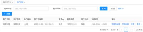 多租户saas系统 Flowable工作流 自动代码生成器 Diboot低代码开发平台 多租户saas系统 Flowable工作流 自动代码生成器 Diboot低代码开发平台