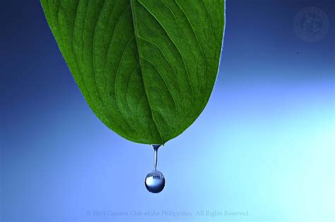 Fred Yuson Camera Club Of The Philippines