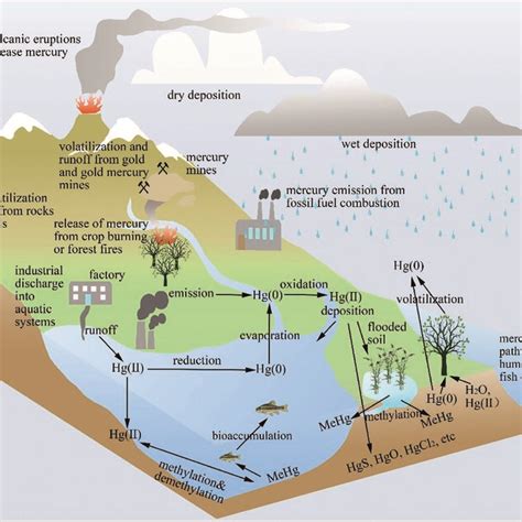 Geochemical Cycle Of Mercury Hg1019 Download Scientific Diagram