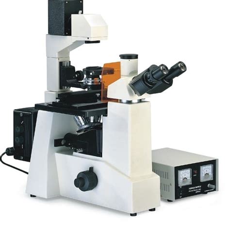 Xsdy 1 Inverted Fluorescence Microscope Sk Advanced