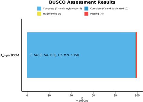 Busco Analysis For A Niger Bsc 1 Genome Quality Assessment Constructed