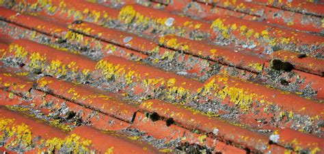 How To Remove Rust From Porcelain Tiles 7 Easy Methods