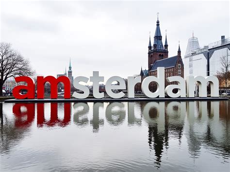 Ce1d Néerlandais 2026 Cogito