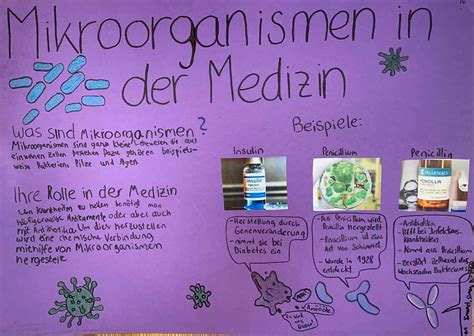 Discoveries In The Realm Of Microorganisms