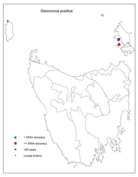 Geococcus Pusillus Threatened Species Link
