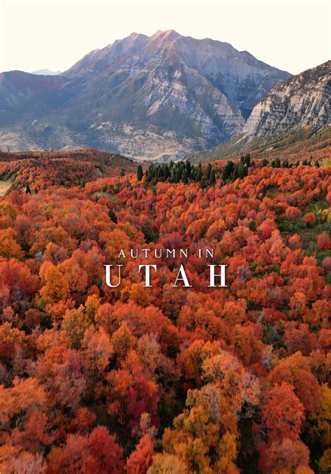 Explore Provo Canyon For Stunning Fall Colors Tiktok