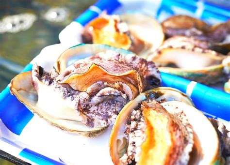 Can You Eat Abalone Liver At Kristen Loveland Blog
