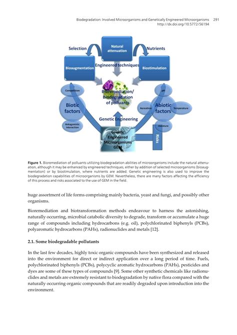 Solution Biodegradation Involved Microorganisms And Genetically Engineered Microorganisms